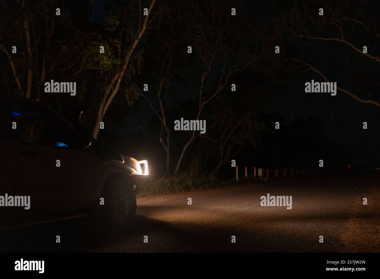 Headlights illuminate trees in the distance Stock Photo - Alamy