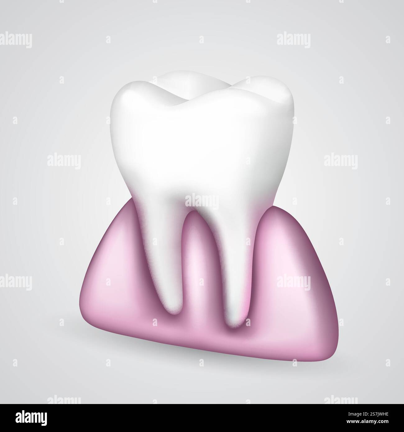 Vector tooth in the gum. Vector illustration art 10eps. Vector tooth in ...