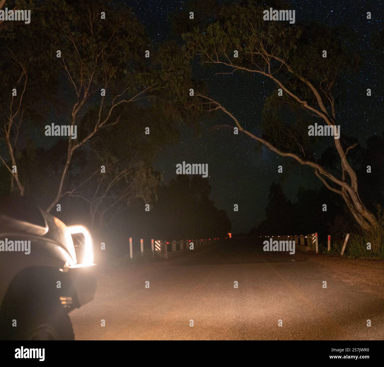 Headlights illuminate trees in the distance Stock Photo - Alamy