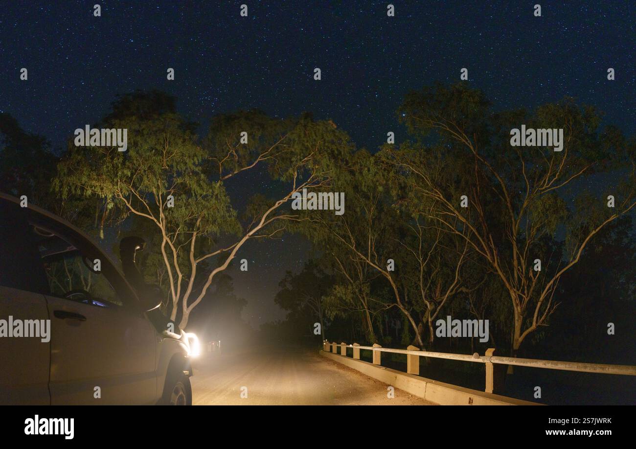Headlights illuminate trees in the distance Stock Photo - Alamy