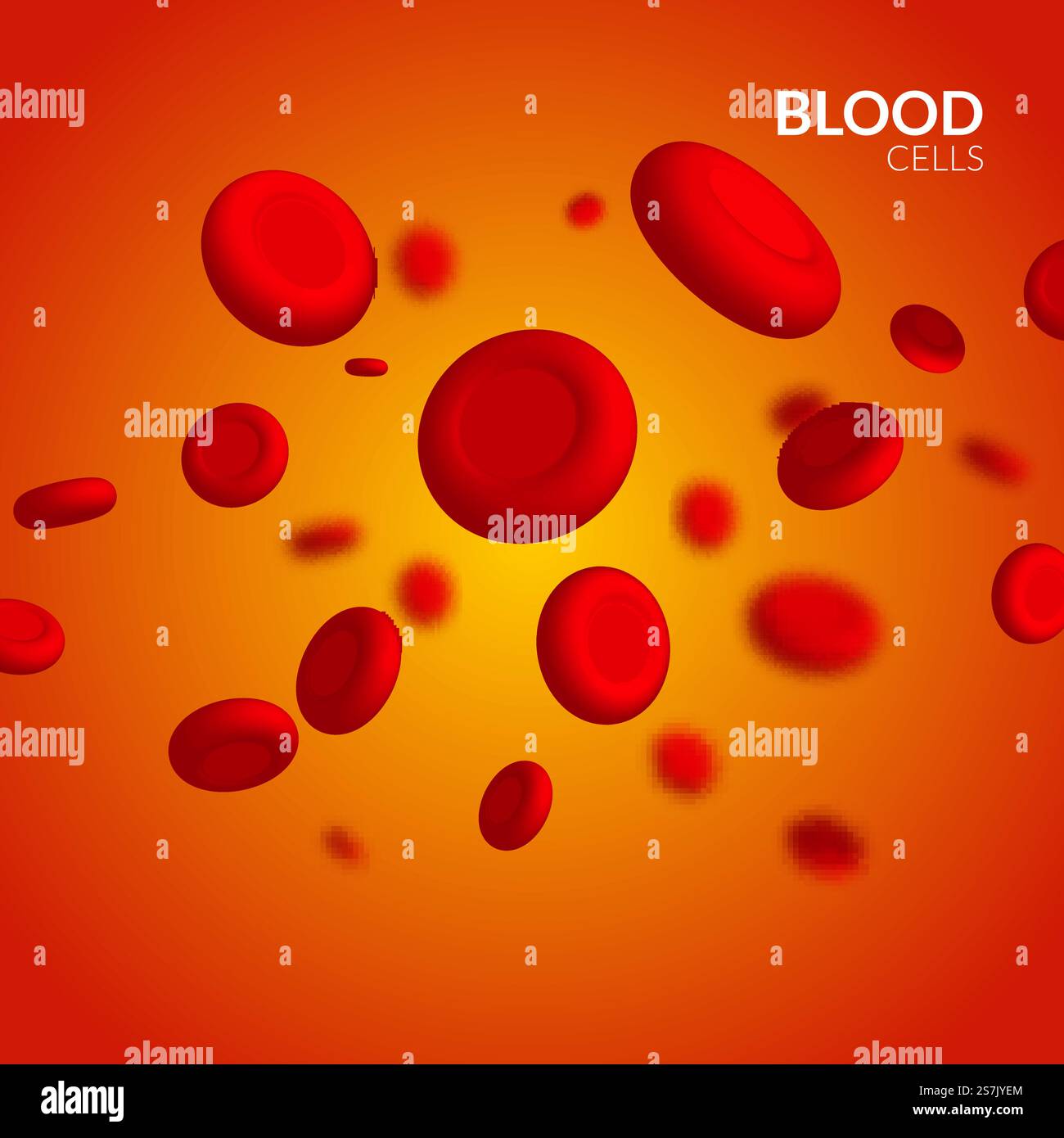 Vector vein blood red cell. Biology medical genetic health. Macro ...