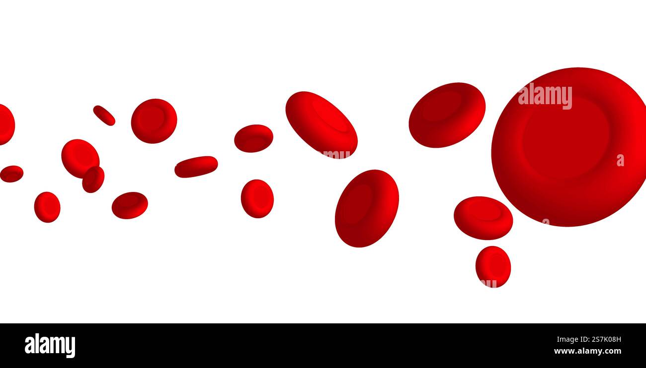 Vector vein blood red cell. Biology medical genetic health. Macro ...