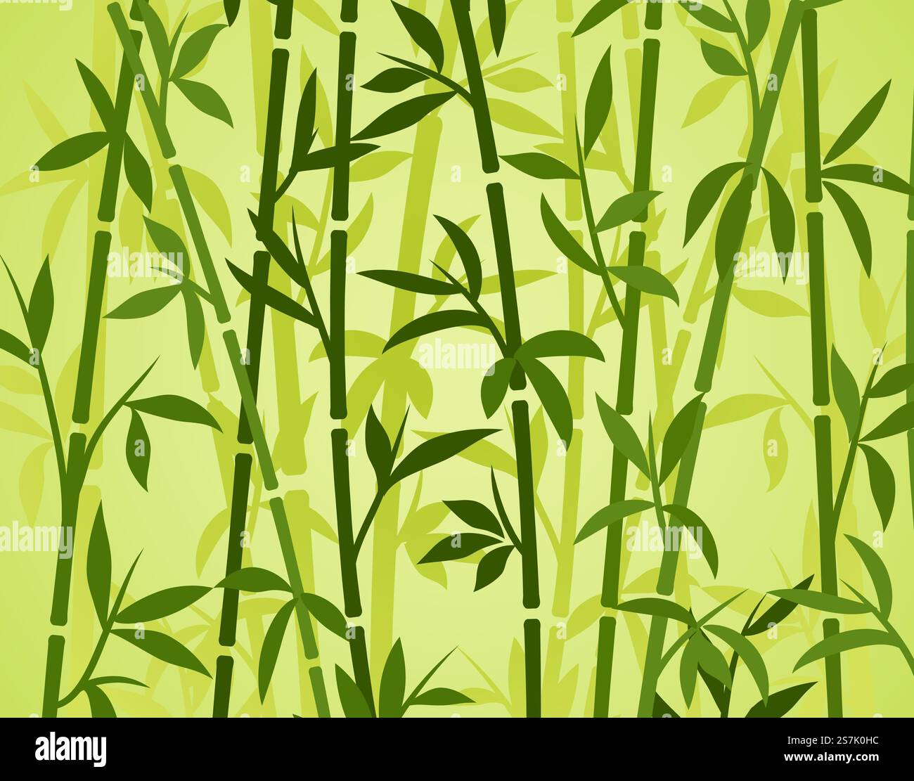 Bamboo background japanese asian plant wallpaper grass. Bamboo tree ...