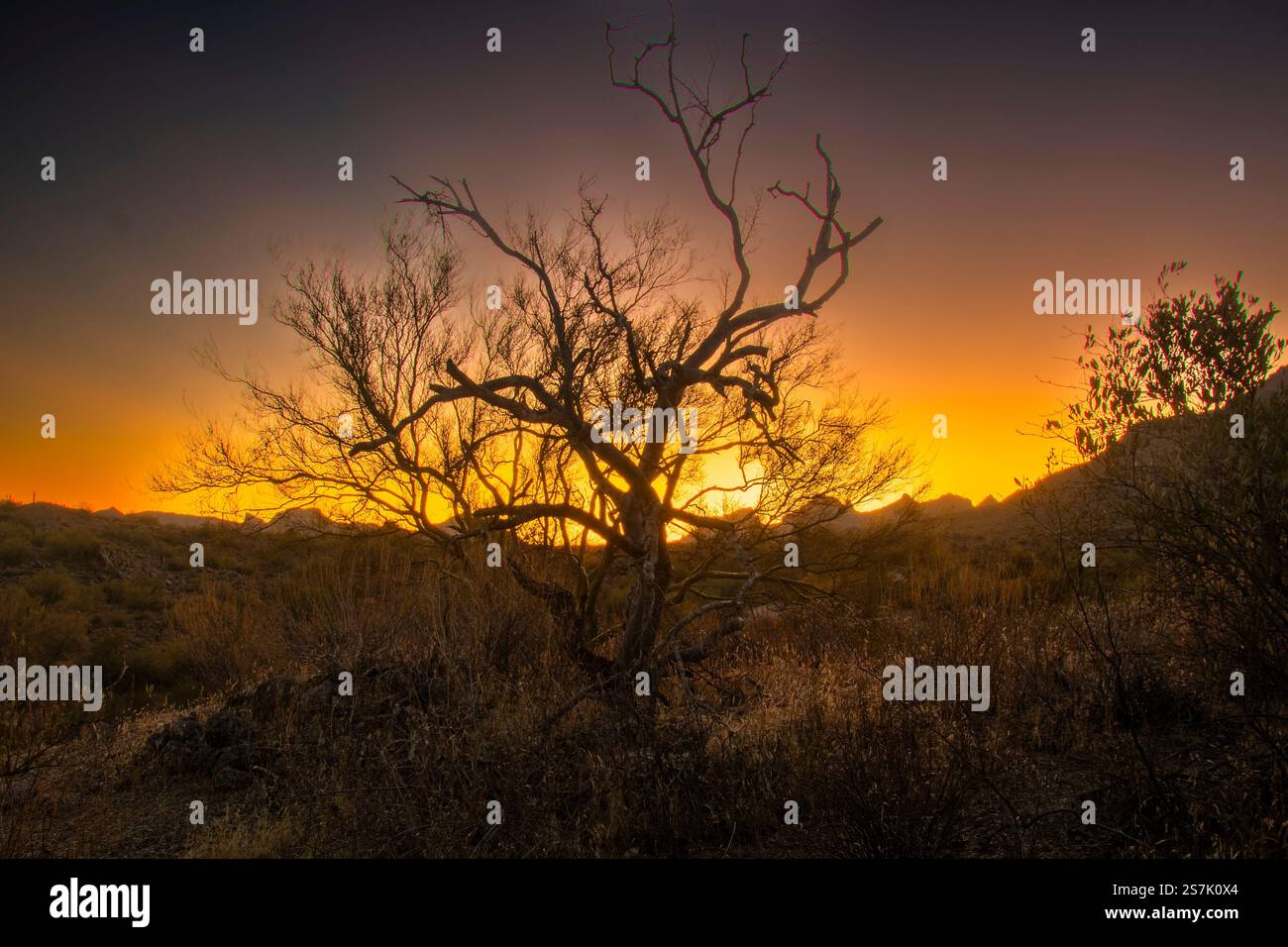 Morning Sunrise Across The Arizona Landscape Stock Photo - Alamy