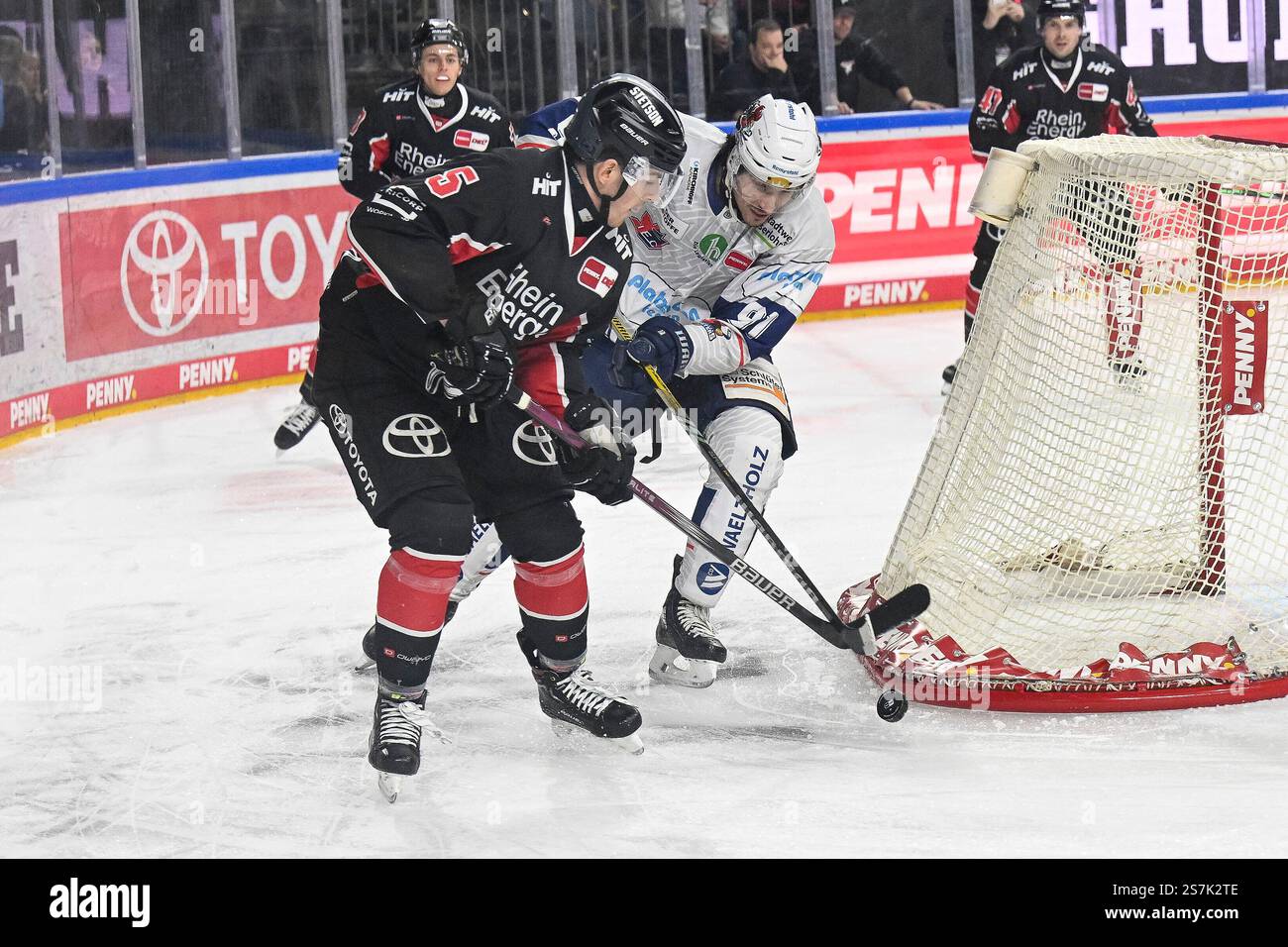 Eishockey DEL - 24/25 - 38. Spieltag: Kölner Haie vs Iserlohn Roosters ...