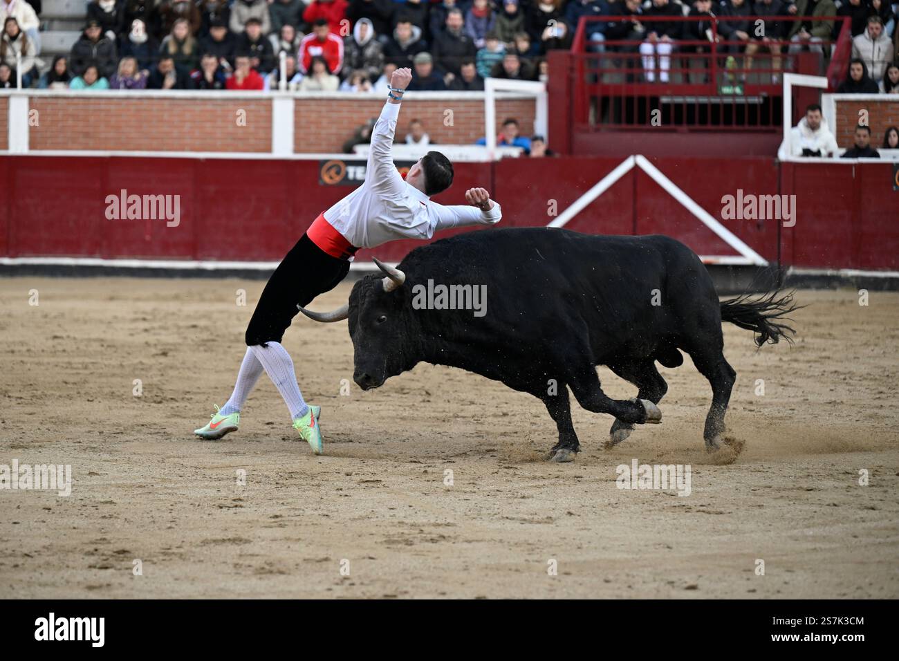 Los bodys hi-res stock photography and images - Alamy