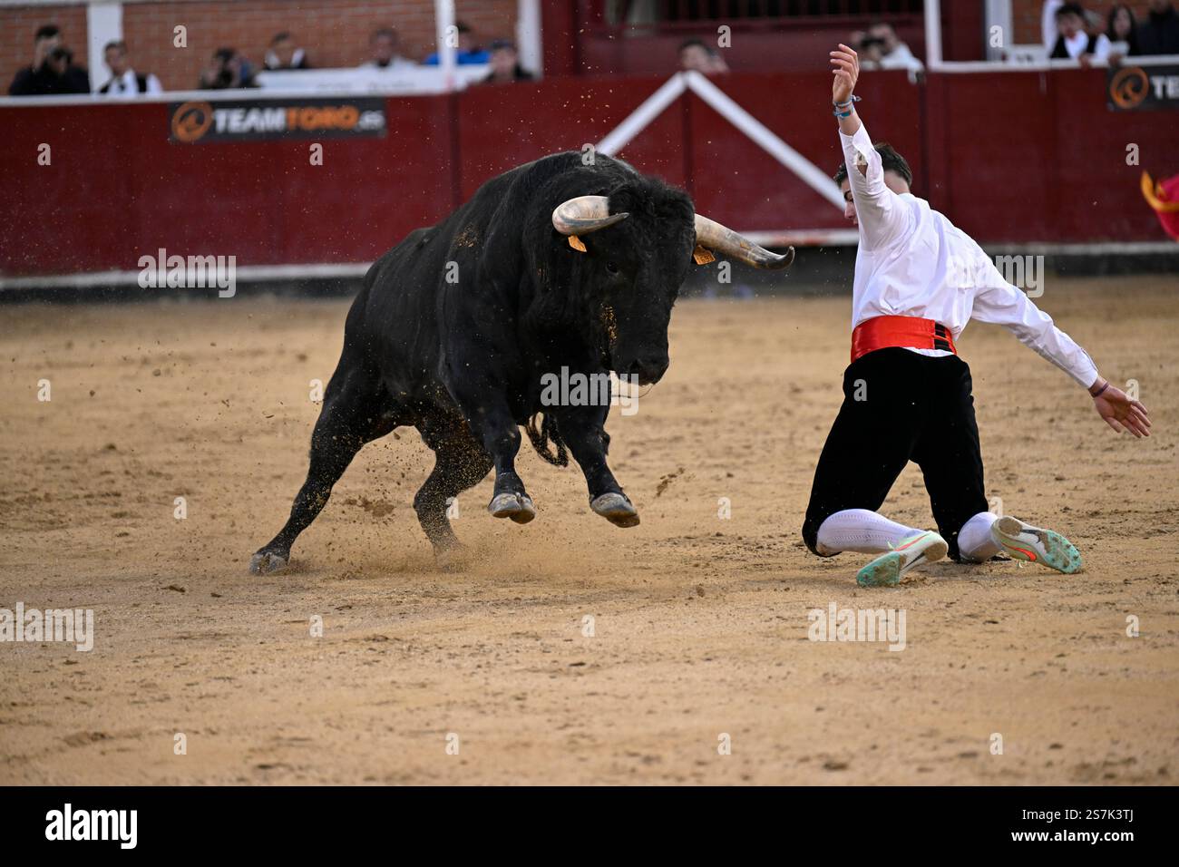 Los bodys hi-res stock photography and images - Alamy