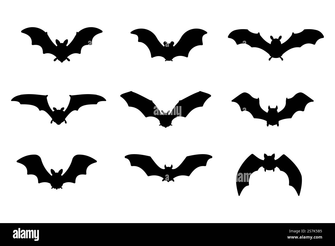 Bat vampire vector. scary ghost bat silhouette Flying out to suck blood ...
