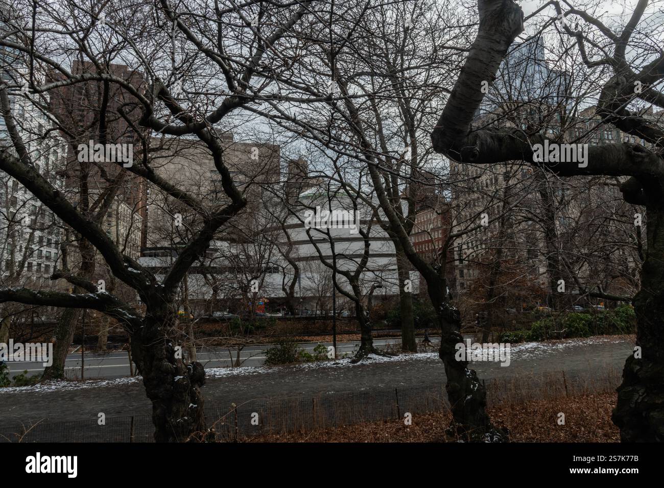Guggenheim Museum in winter as seen from Central Park, Upper East Side ...