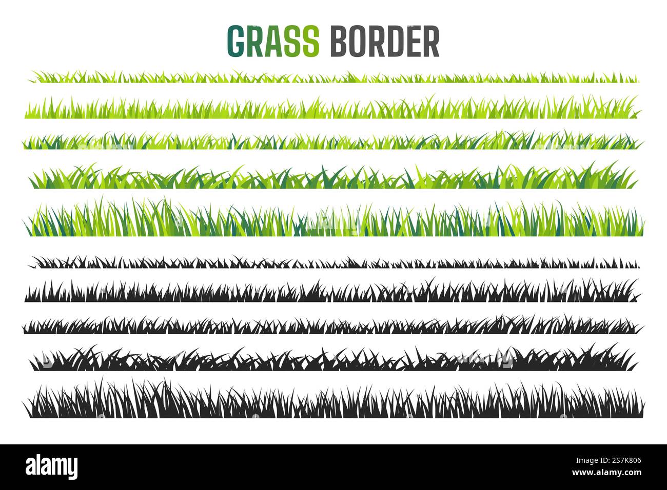Grassland border vector patternGreen lawn in spring The concept of ...