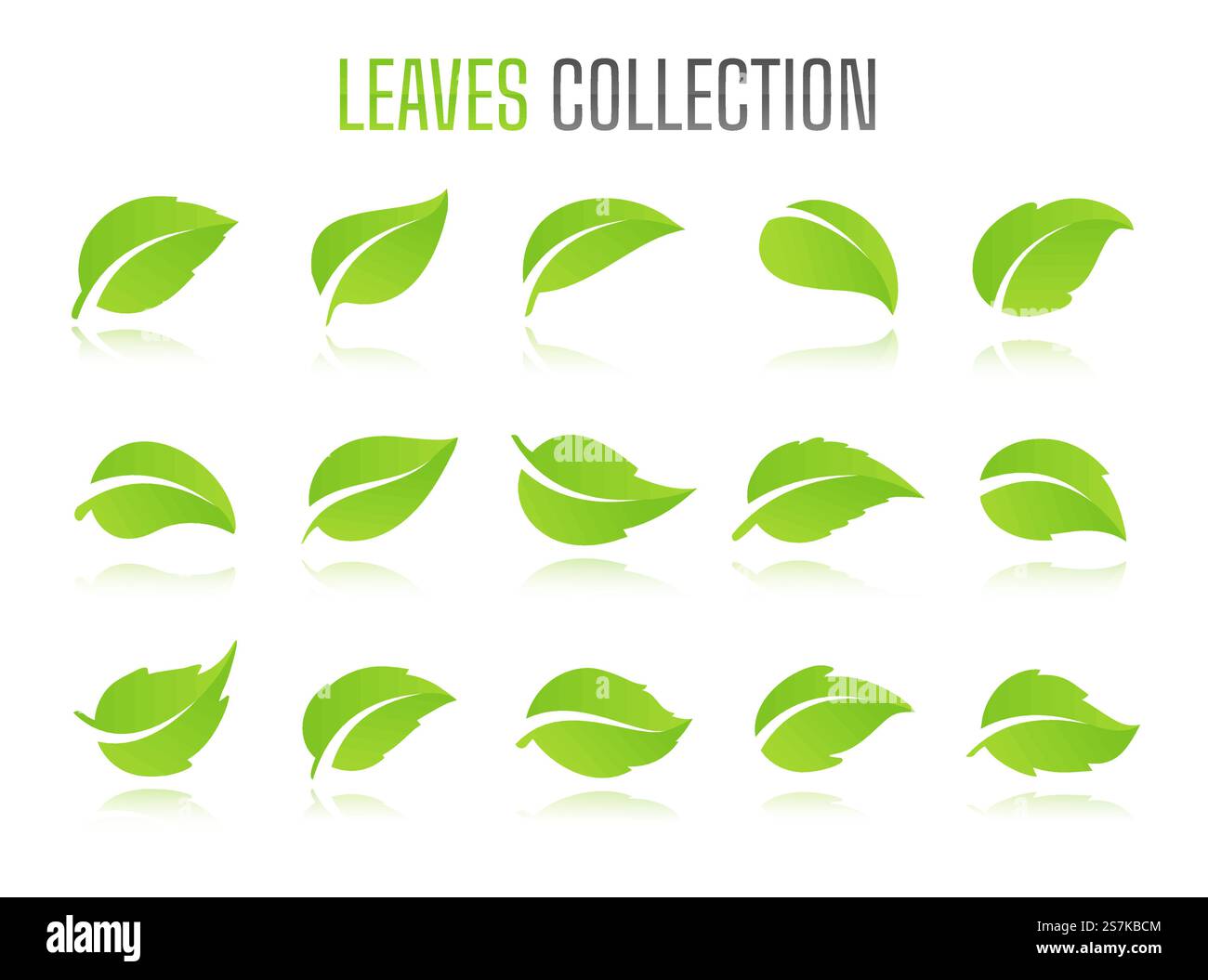 Simple flat green leaf design vector The concept of forest preservation by using natural ...