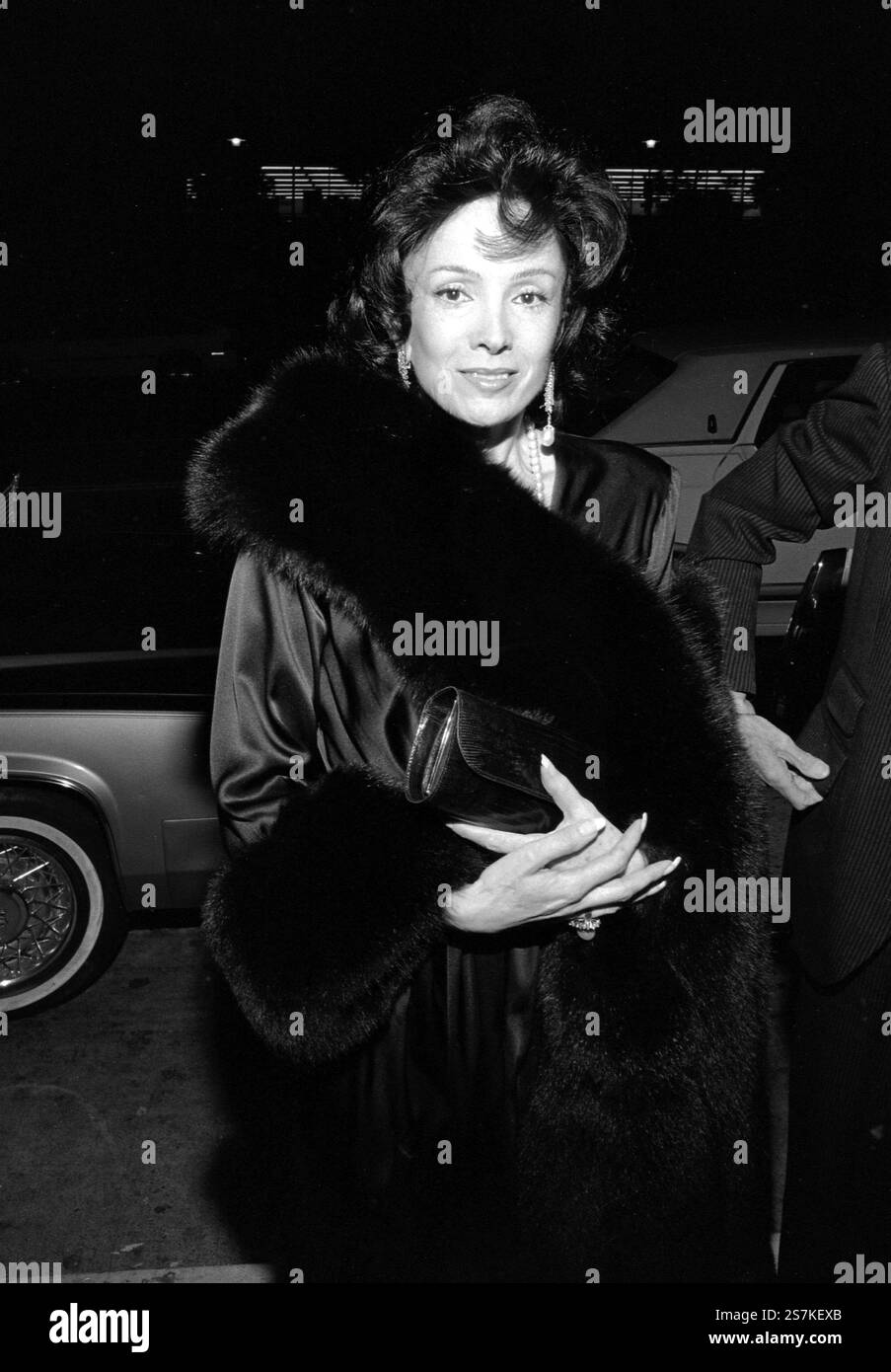 Chantal Contouri Circa 1980's Credit: Ralph Dominguez/MediaPunch Stock ...