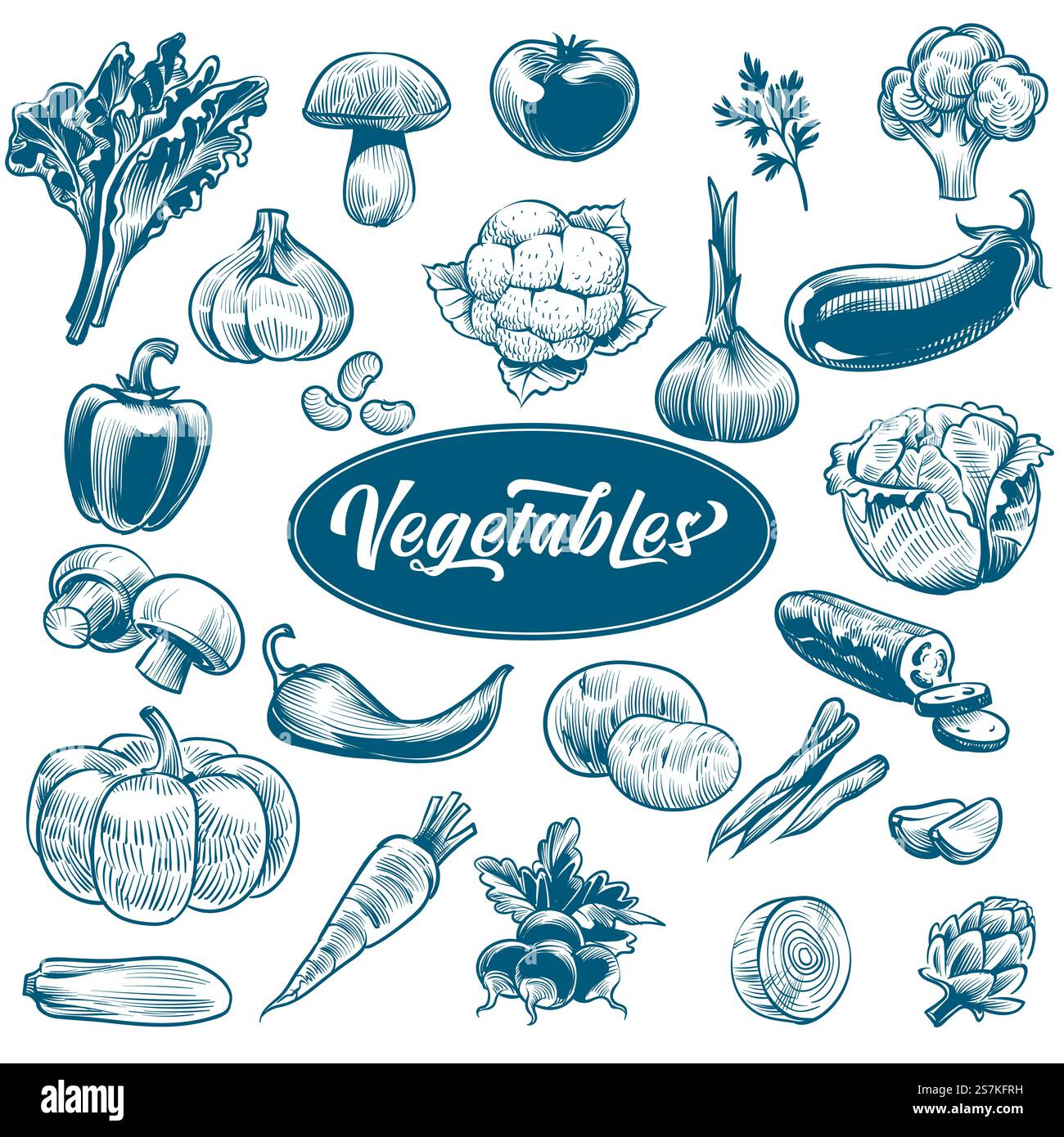 Chalk drawing of vegetables. Various vintage hand drawn vegetable with ...