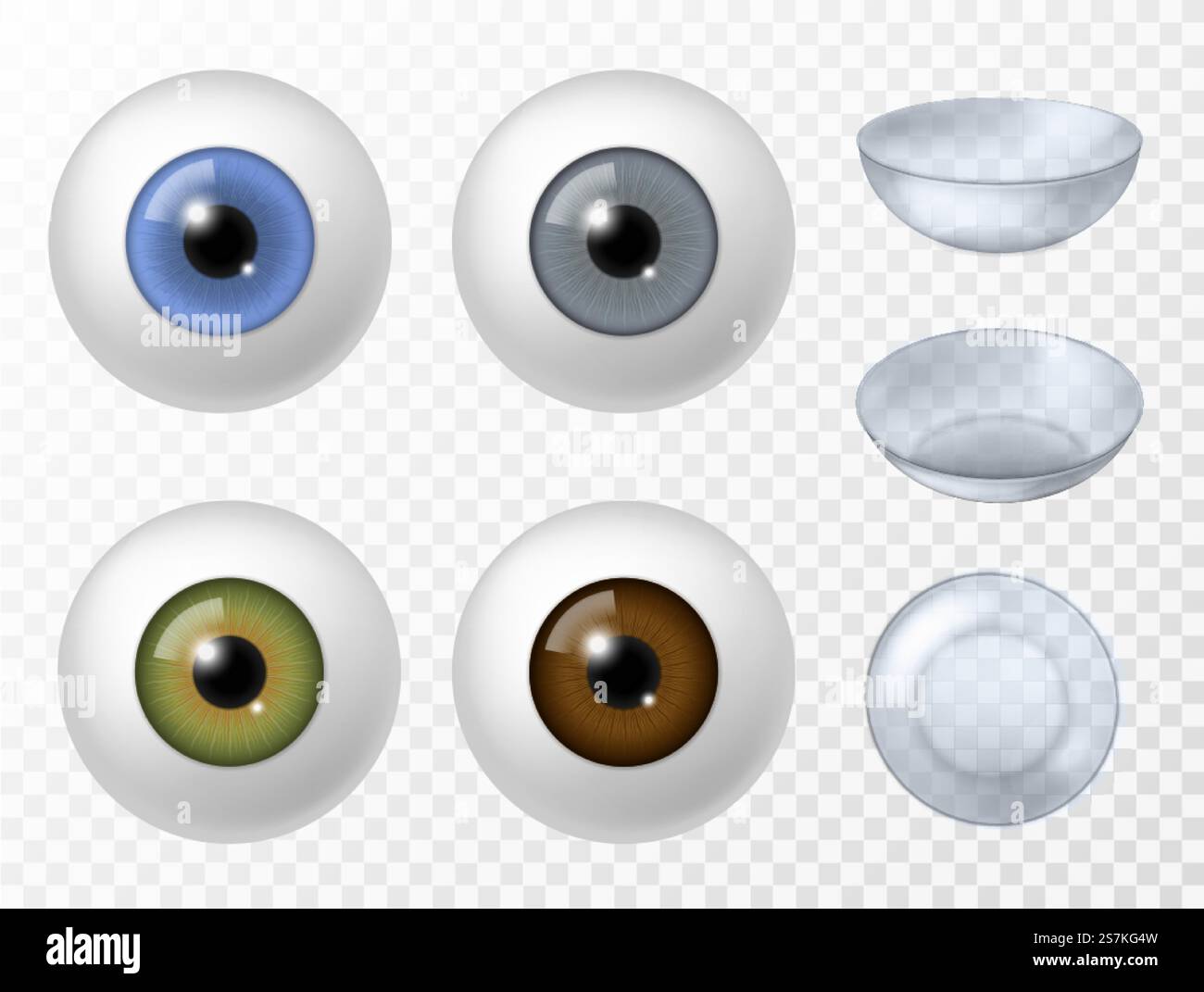 Contact lens and human eye. Realistic human eyeball different color ...