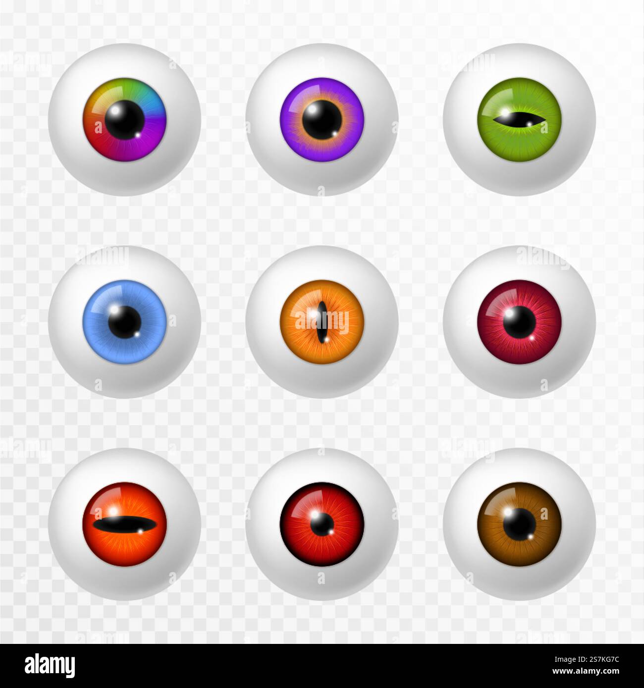 Human and animal eye different realistic color eyeball and lenses hi ...