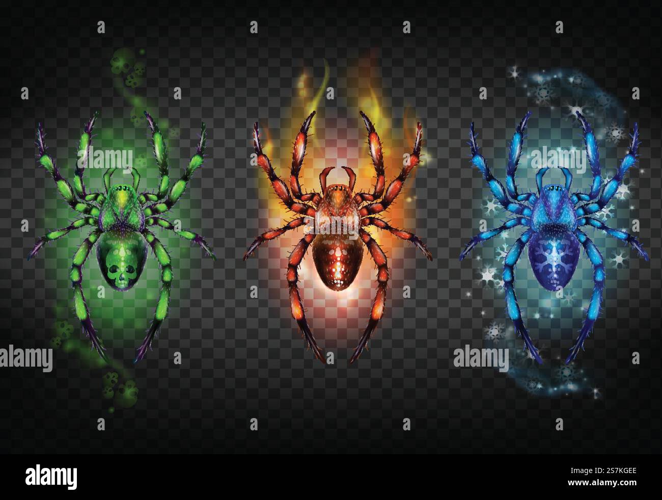 Green poisonous with skull on abdomen, red scorching covered flame and ...