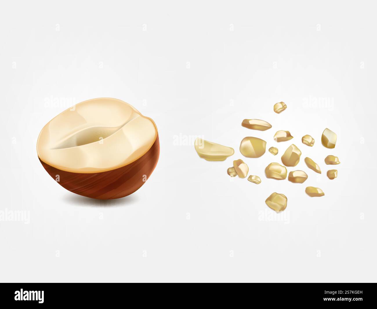 Ground nut front view 3d hi-res stock photography and images - Alamy