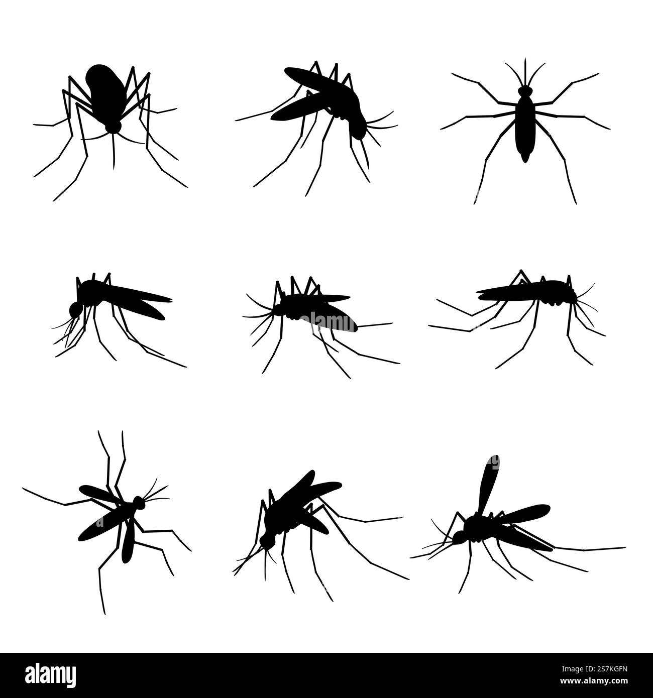 Mosquito silhouettes. Swarm flying insects, dangerous bite proboscis ...