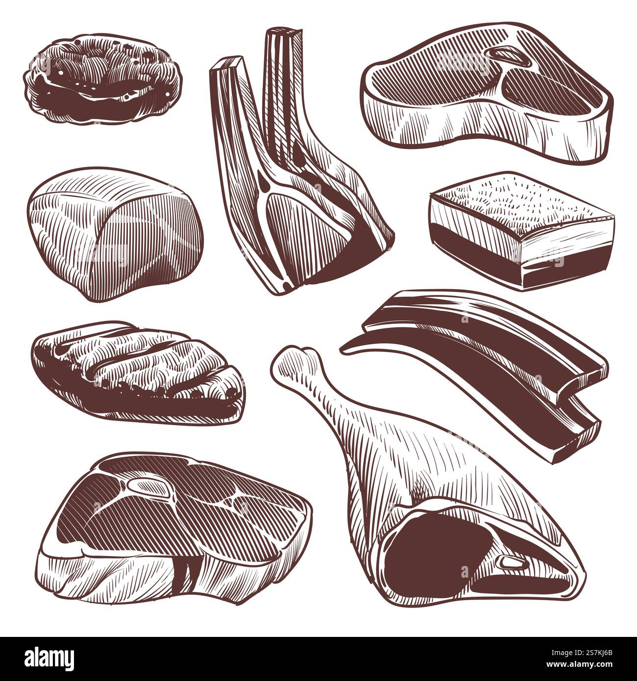 Sketch meat. Hand drawn fresh raw meat products collection, beef steak ...