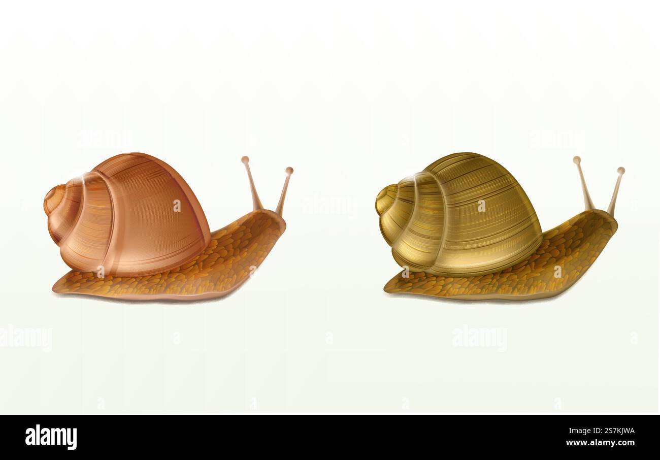 Two creeping Burgundy or Roman snails 3d vector icons isolated on white ...