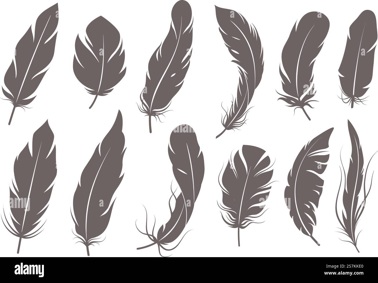 Feather silhouettes. Different feathering birds, graphic simple shapes ...