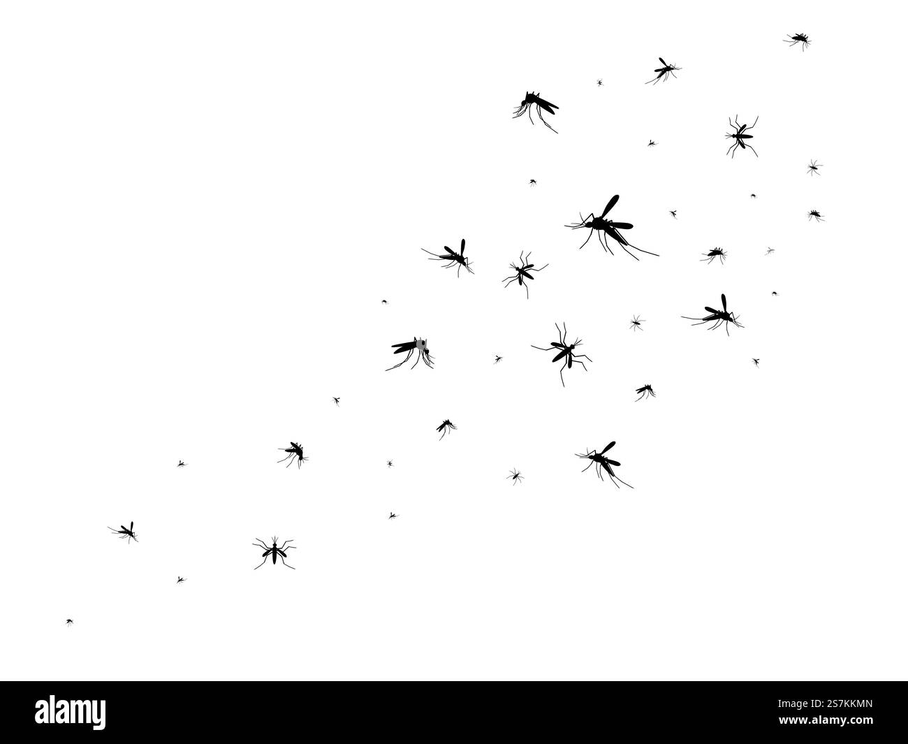 Spreading the disease Black and White Stock Photos & Images - Alamy