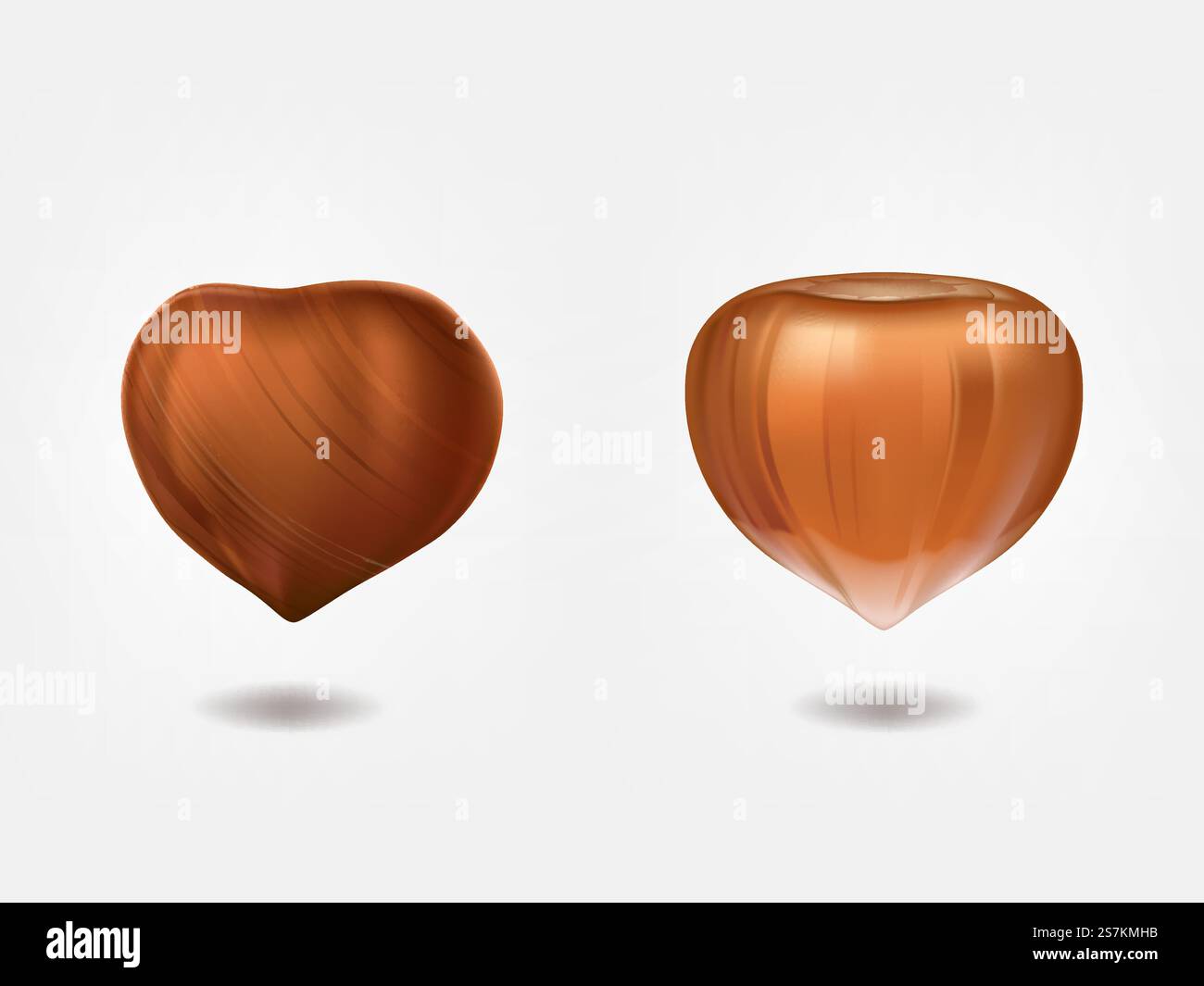 Ripe and raw hazelnuts front view 3d realistic vector isolated on white ...