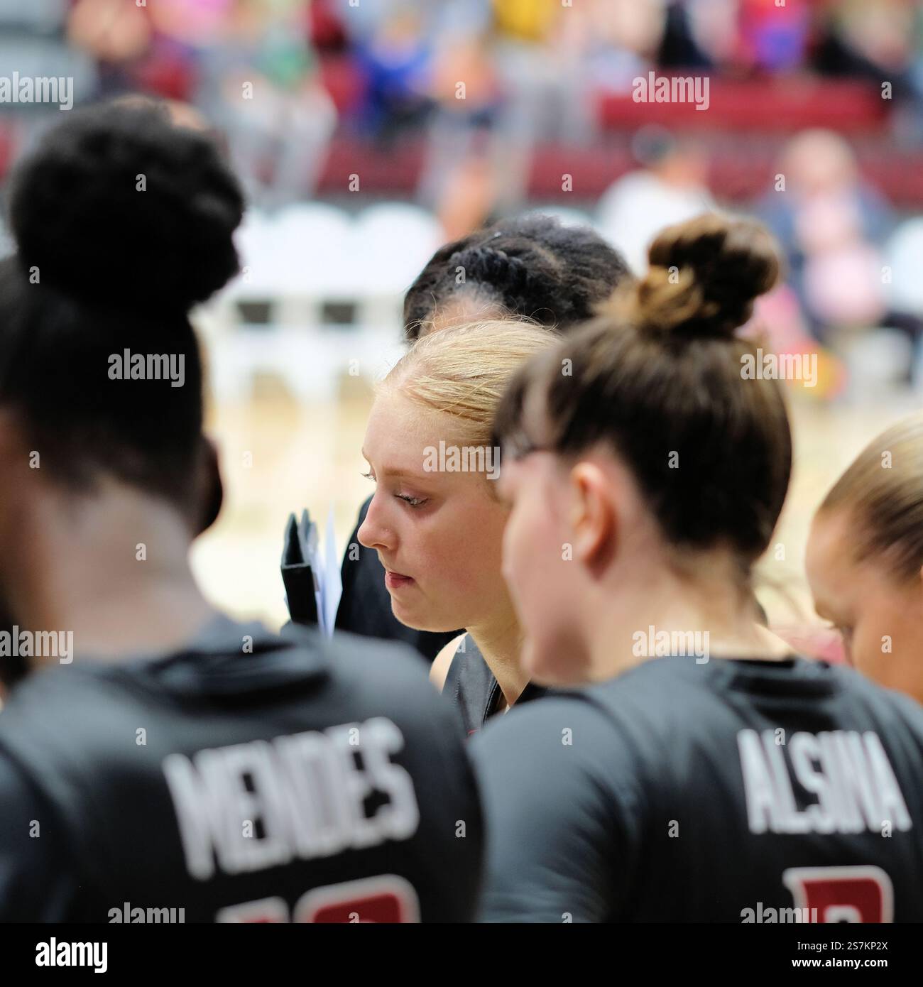 Cougar woman hi-res stock photography and images - Alamy