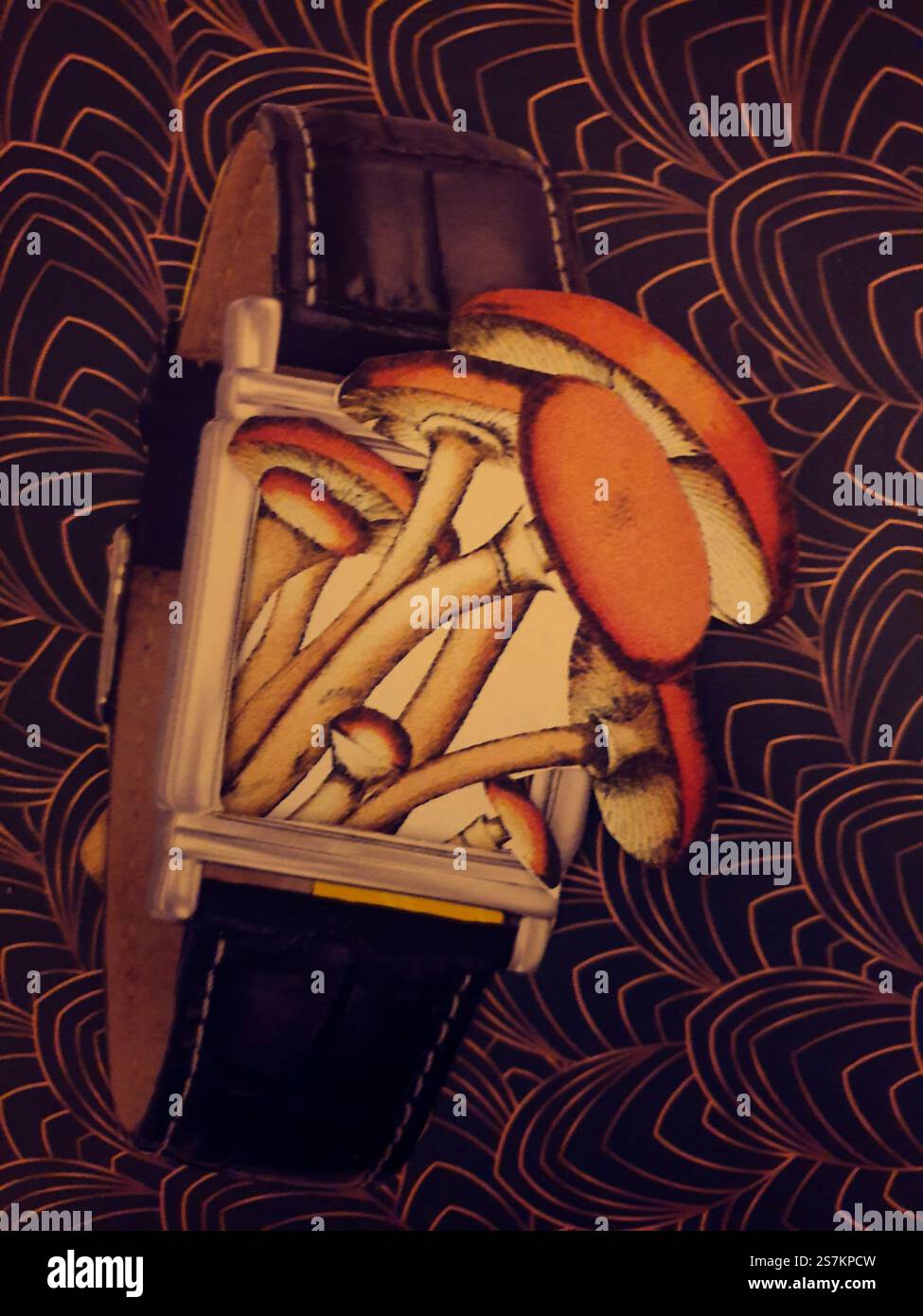 Conceptual collage art of a wrist watch with funghi Stock Photo - Alamy