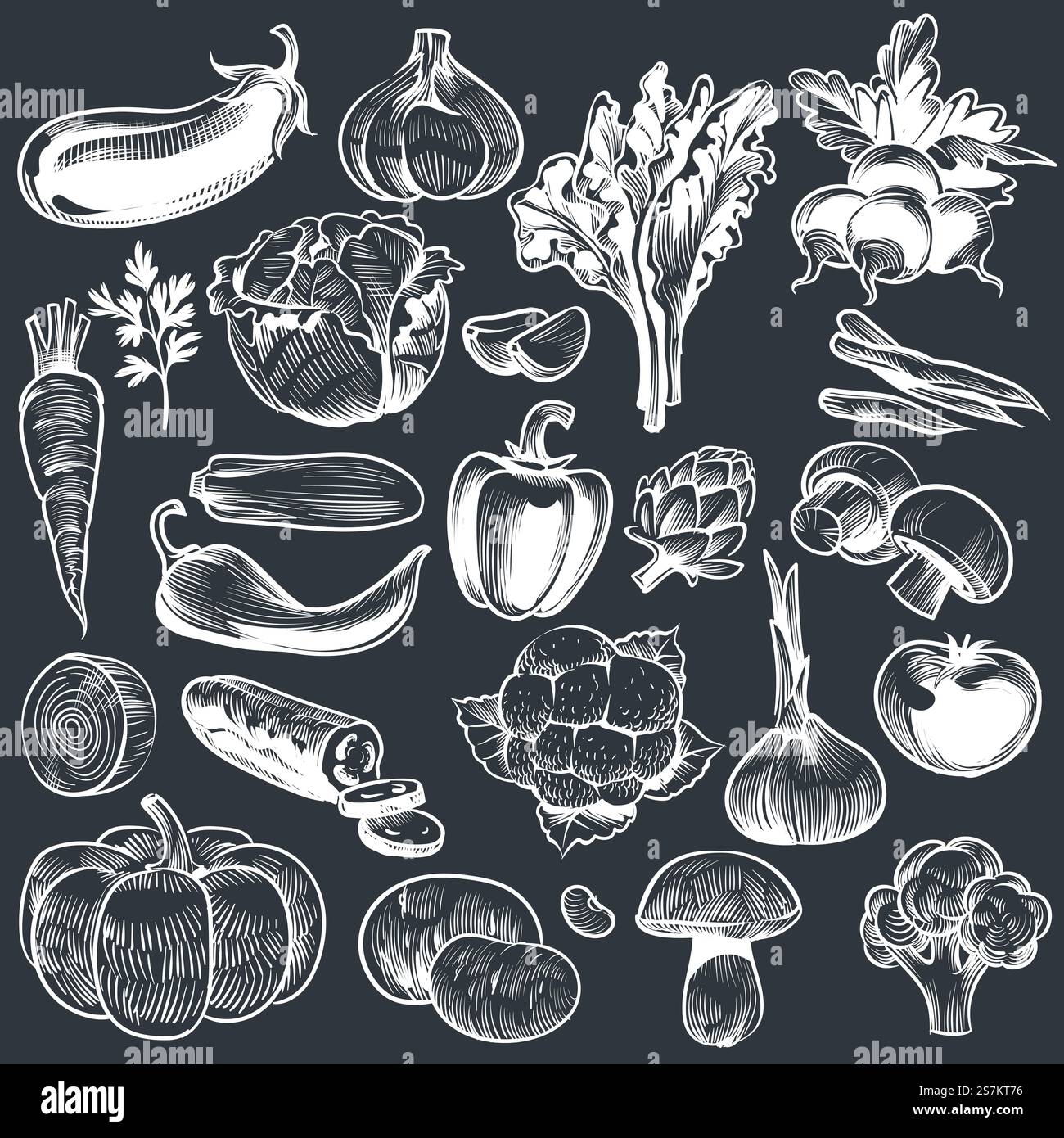 Chalk drawing of vegetables. Various vintage hand drawn vegetable ...