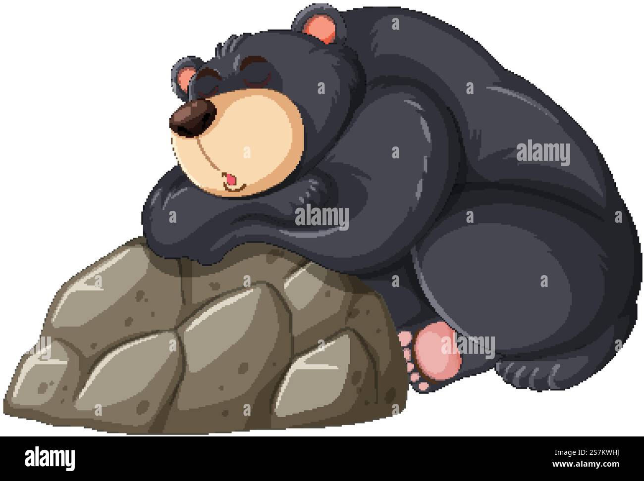A bear peacefully sleeping on a large rock Stock Vector Image & Art - Alamy