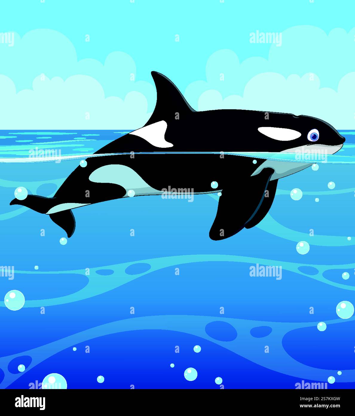 Illustration of an orca in a blue ocean Stock Vector Image & Art - Alamy