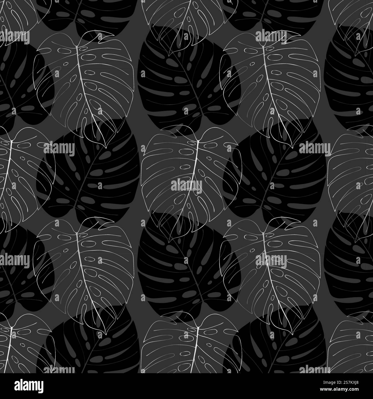 Dark luxury Monstera leaf pattern, silver outline leaves and silhouette of black Monstera leaves ...