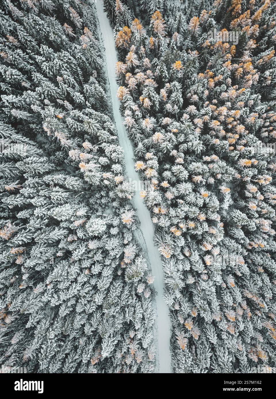 Aerial view of the South Fork of the Coeur d'Alene River at Lookout ...