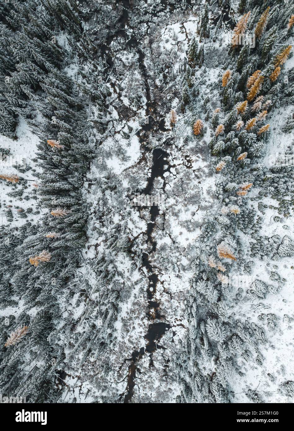 Aerial view of the South Fork of the Coeur d'Alene River at Lookout ...