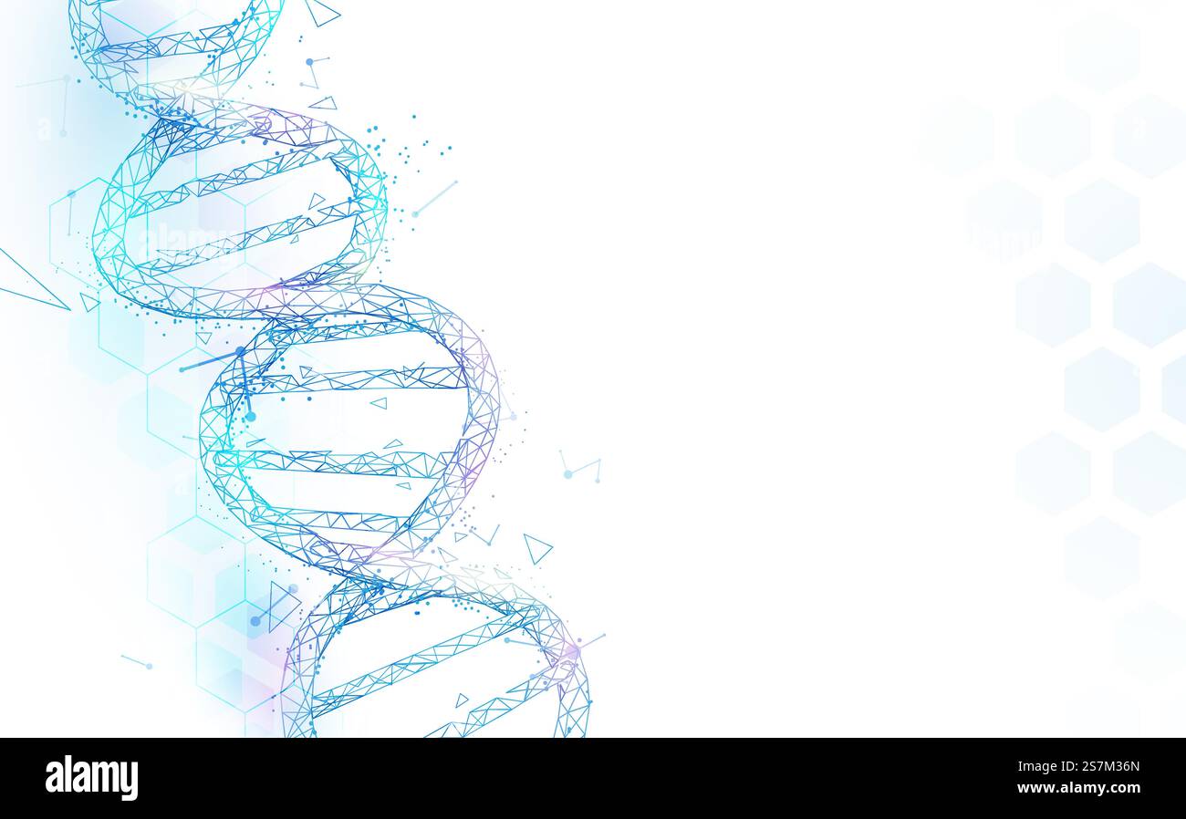 Wireframe DNA molecules structure mesh on white background. Science and ...