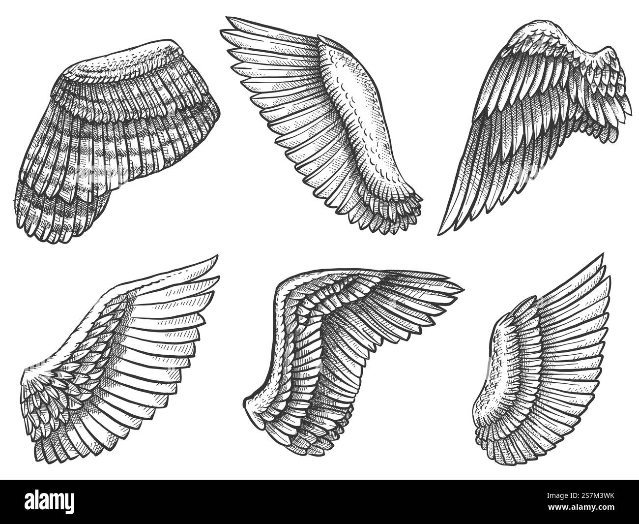 Hand drawn wings. Sketch bird or angel wing with feathers, engraved ...