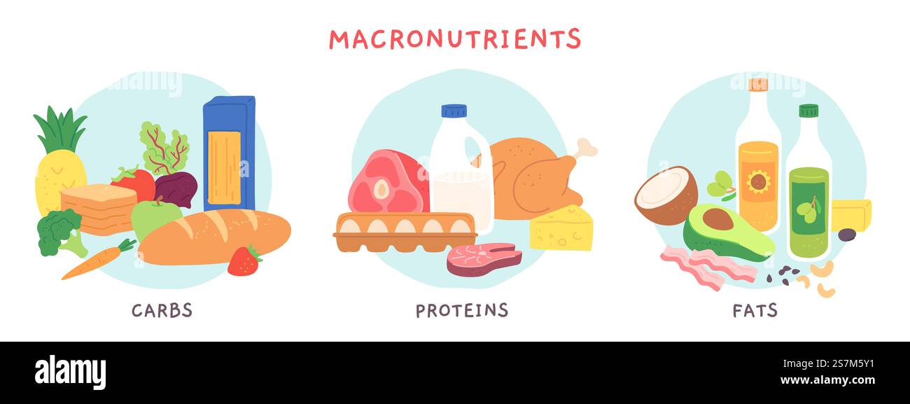 Food macronutrients. Fat, carbohydrate and protein foods groups with ...