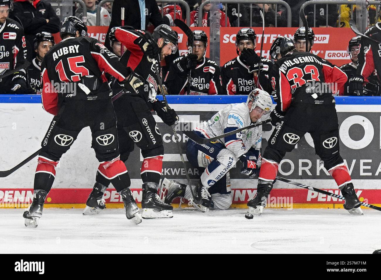 Eishockey DEL - 24/25 - 38. Spieltag: Kölner Haie vs Iserlohn Roosters ...