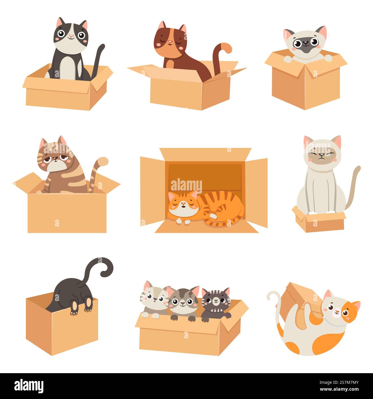 Cats in boxes. Cute stickers with cat sitting, sleeping and playing in ...