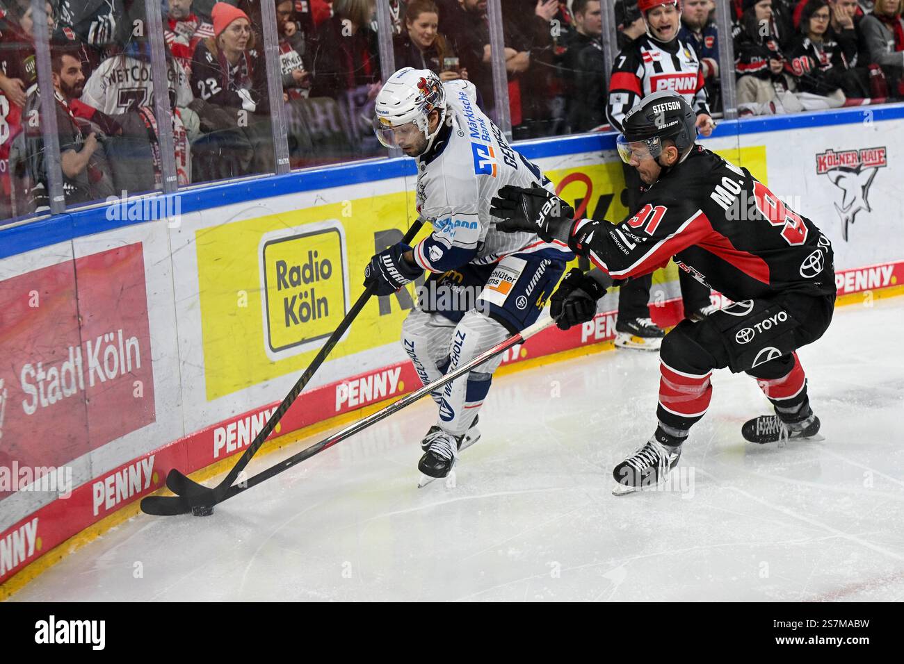 Eishockey DEL - 24/25 - 38. Spieltag: Kölner Haie vs Iserlohn Roosters ...
