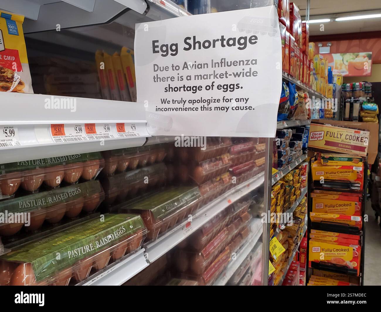 Brooklyn, New York, USA. 19th Jan, 2025. Brooklyn New York, January 19 ...