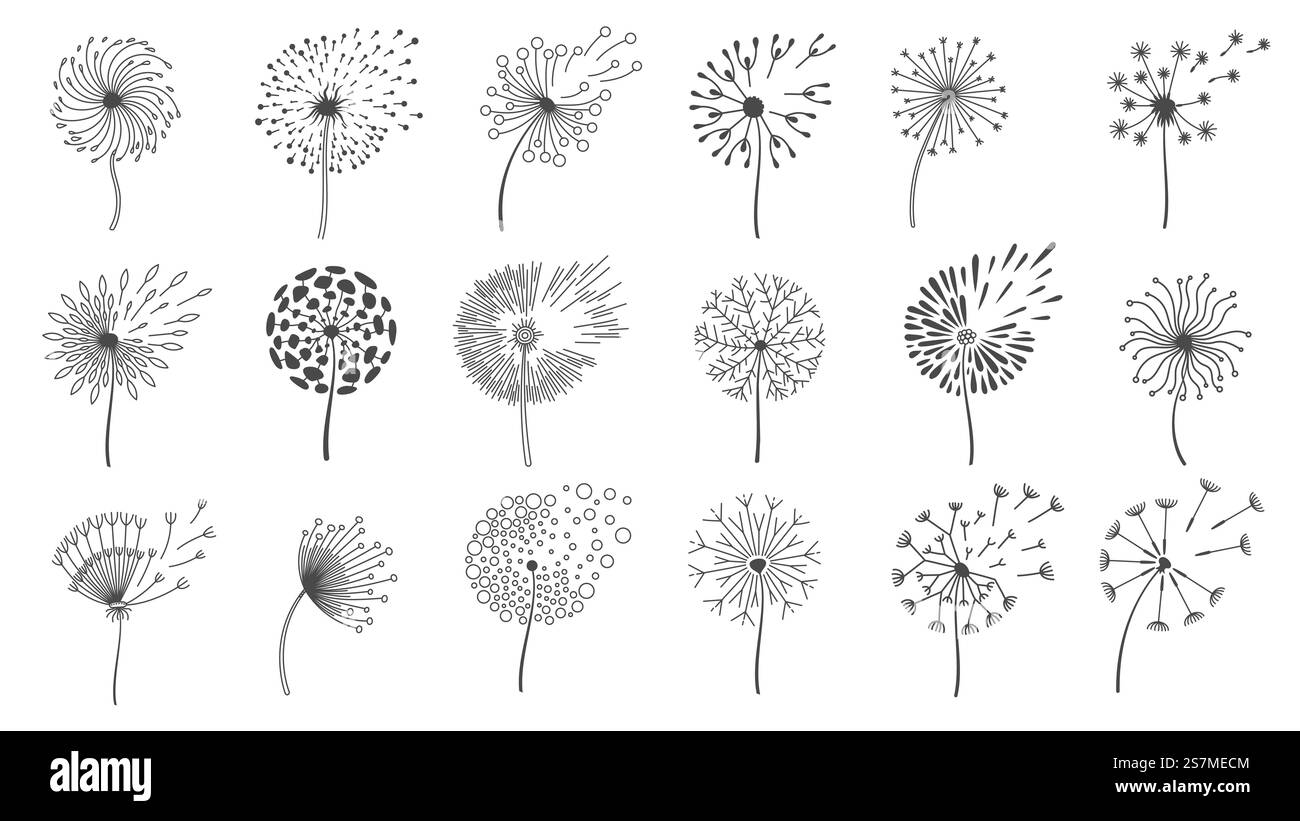 Blowing dandelion seeds. Silhouettes of fluffy wish flowers, spring ...