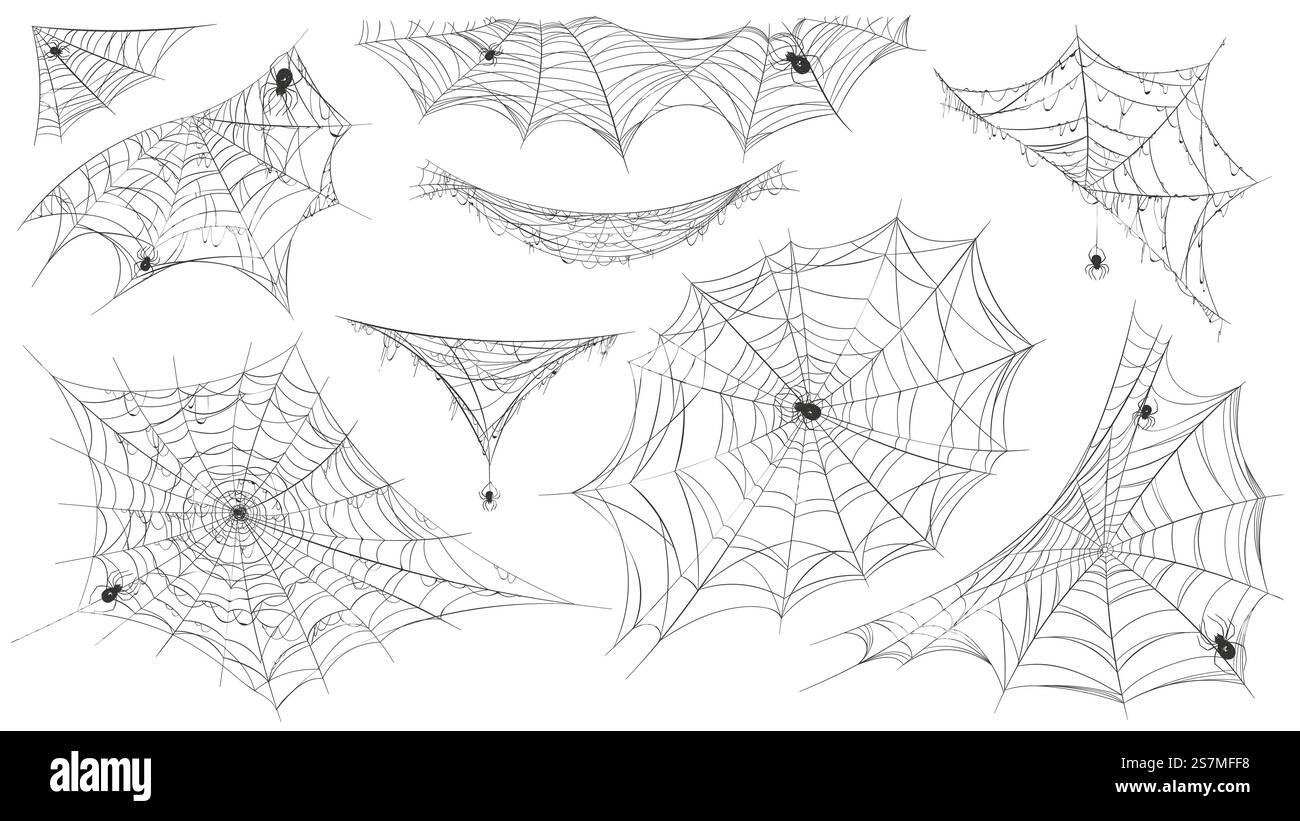 Spider web silhouette. Hanging cobweb with venom spiders for horror ...