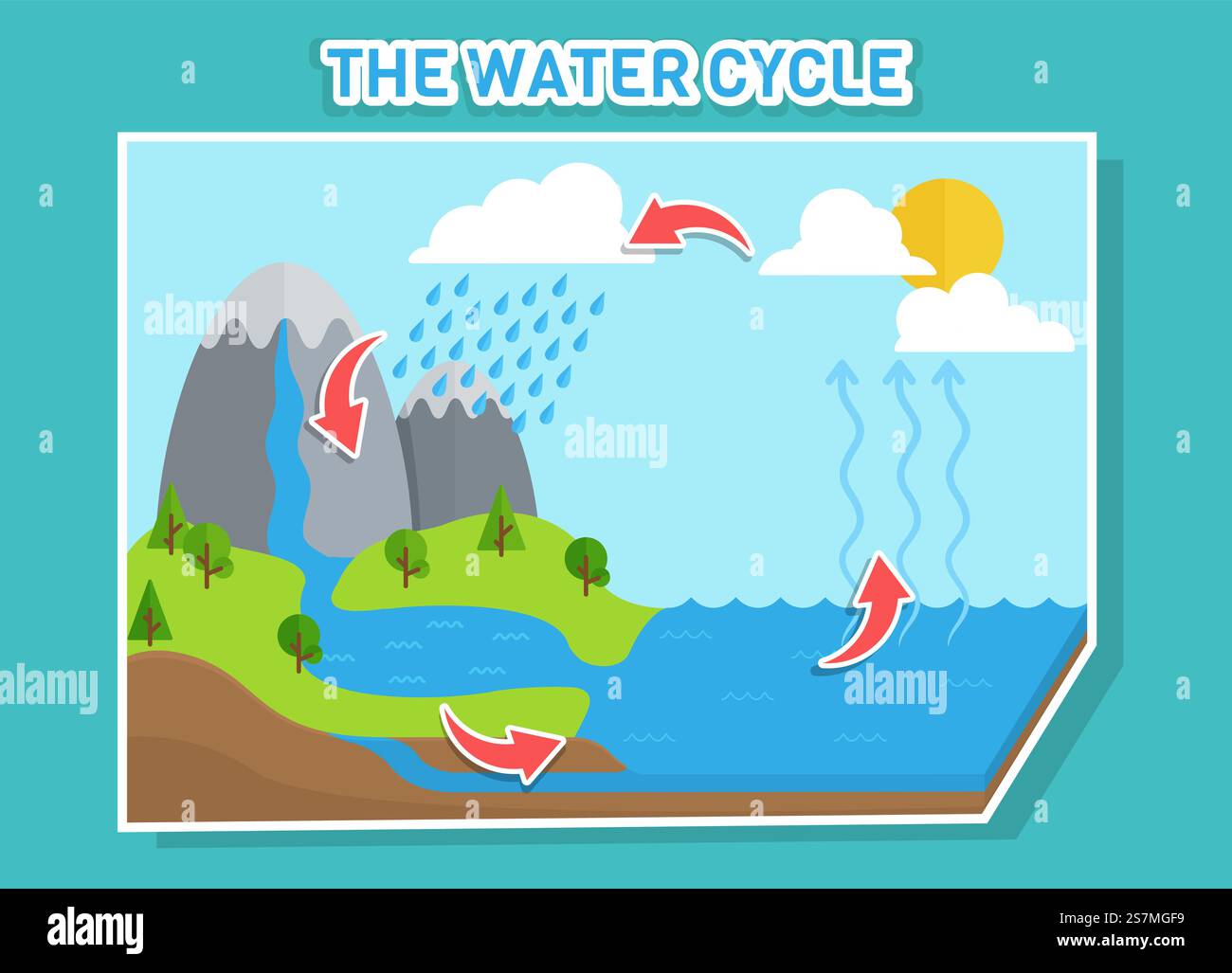 Water cycle diagram.Vector shows the water cycle from water droplets to ...
