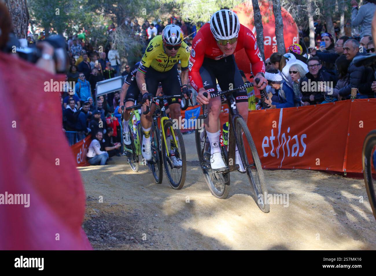 Benidorm, Spain, 19th January, 2025: Team Visma | Lease a Bike rider Wout van Aert (19, L ...