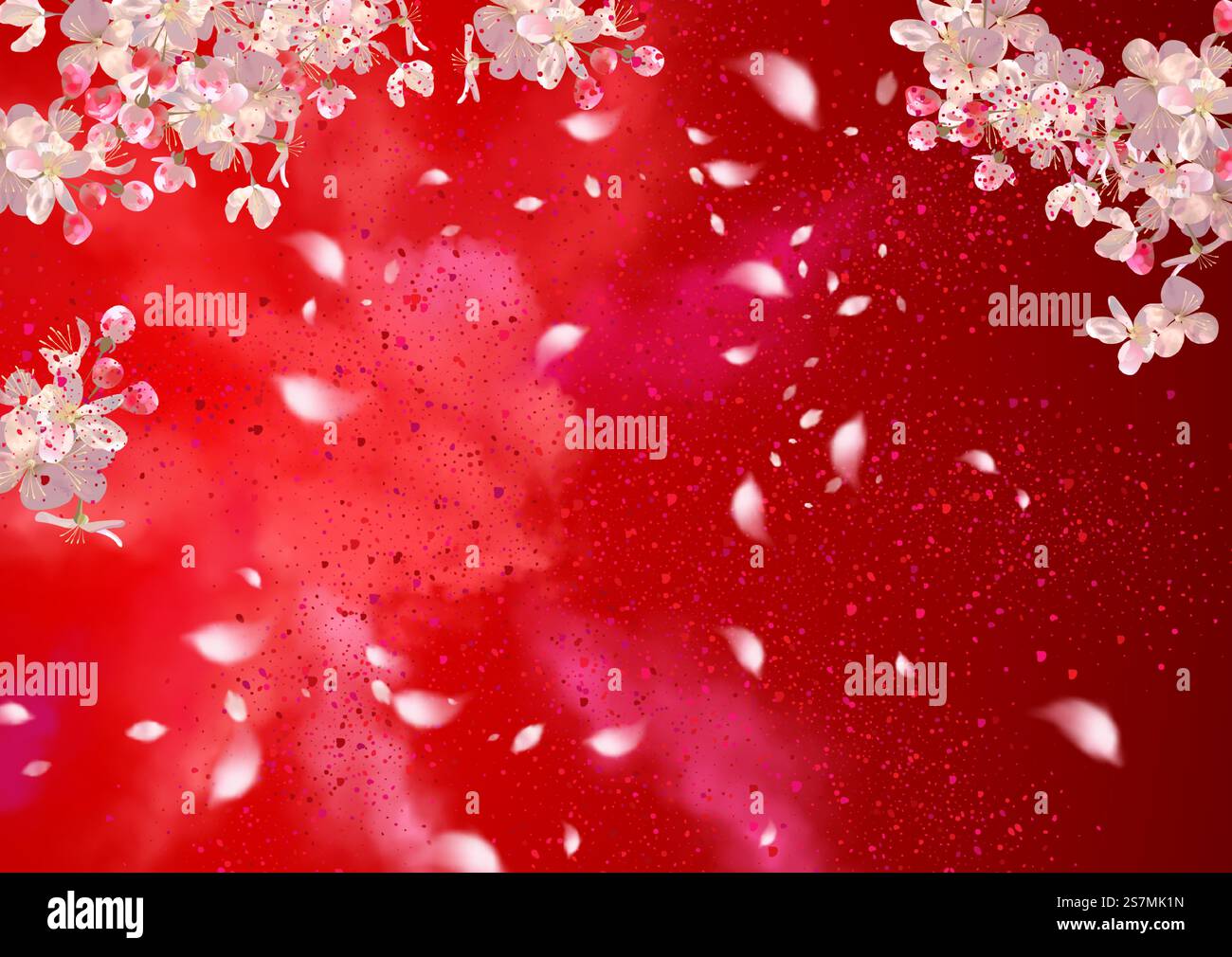 Spring Cherry blossom branches on red background. Cherry blossom ...