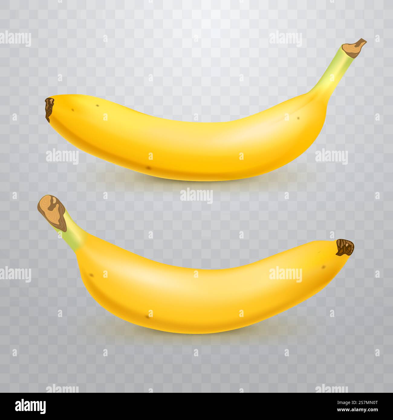 Set of 2 realistic bananas on checkered transparent background ...