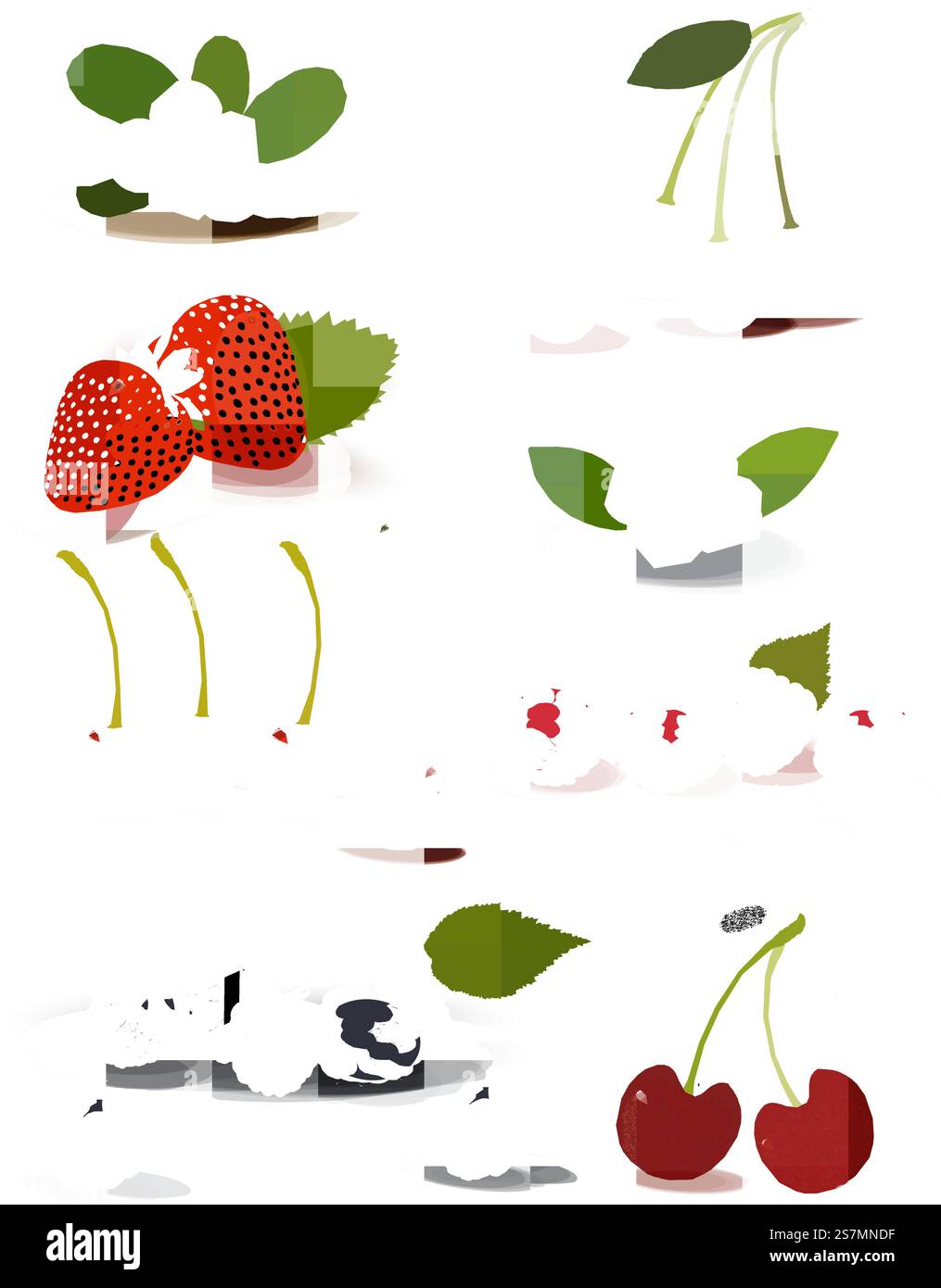Big group of fresh berries and cherries. Vector illustration Stock ...