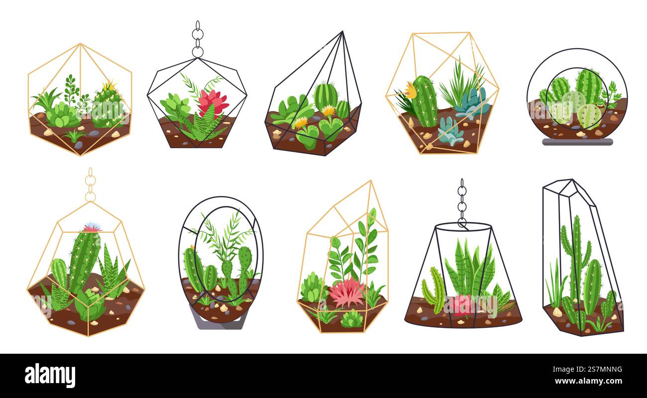 Succulents in botanical gardens Stock Vector Images - Alamy